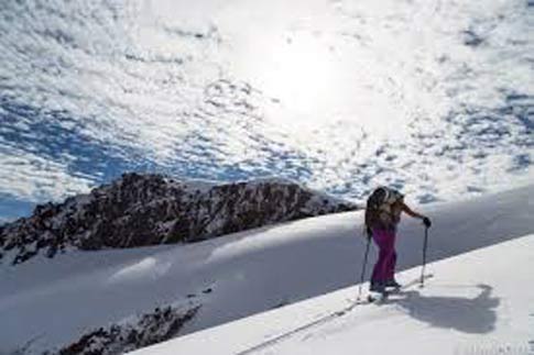 Kasha Rigby Bio, Age, Net Worth, Career, Wiki & Personal Life