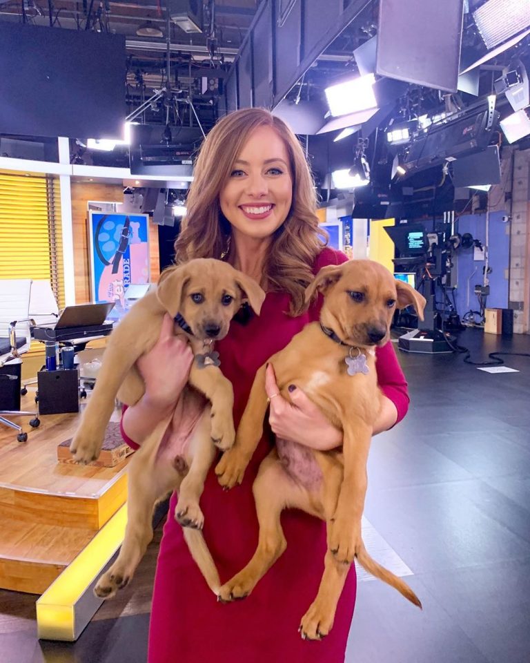 Anna Meiler- An American reporter who works for WBZ-TV.