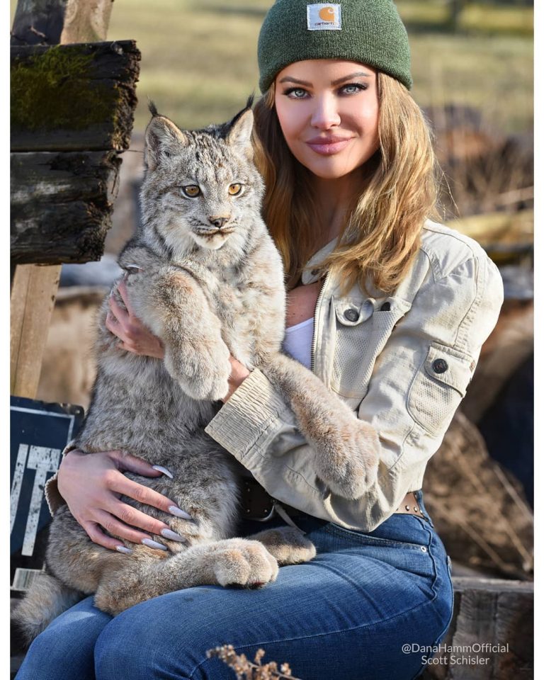 Dana Hamm Enjoys an impressive net worth from her career as model.